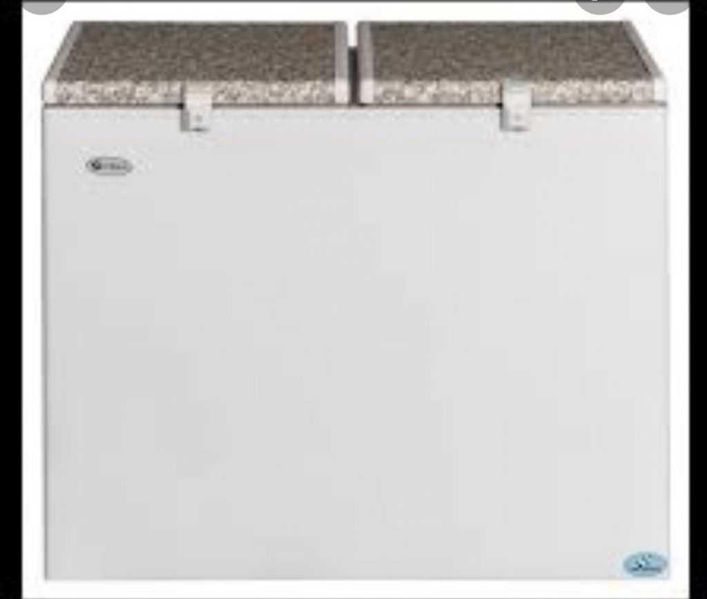 Electric and Gas Deep Freezer - TC Gas